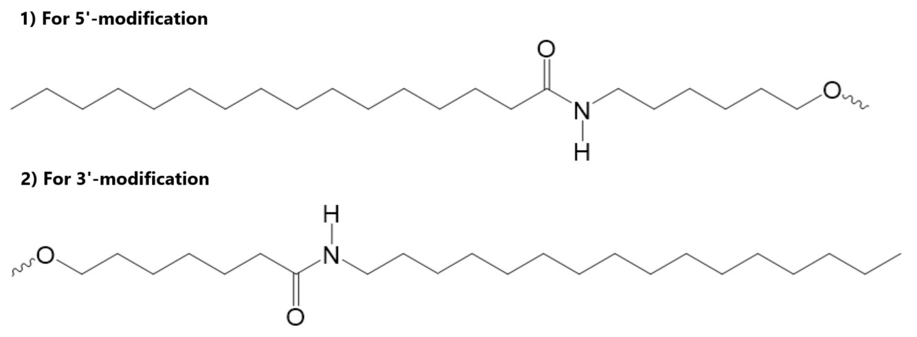 Palmitoyl C16, Palmityl, Palmitate Oligonucleotide
